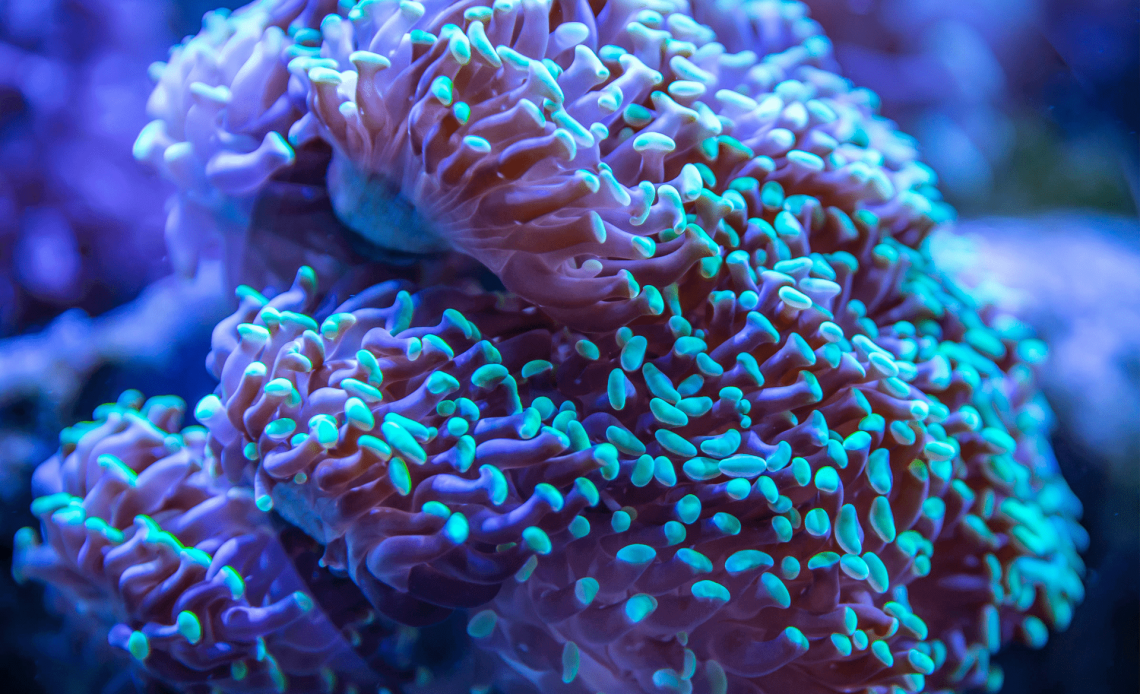 Scientific Method: Steps, Examples & Nature of Biology (Guide)